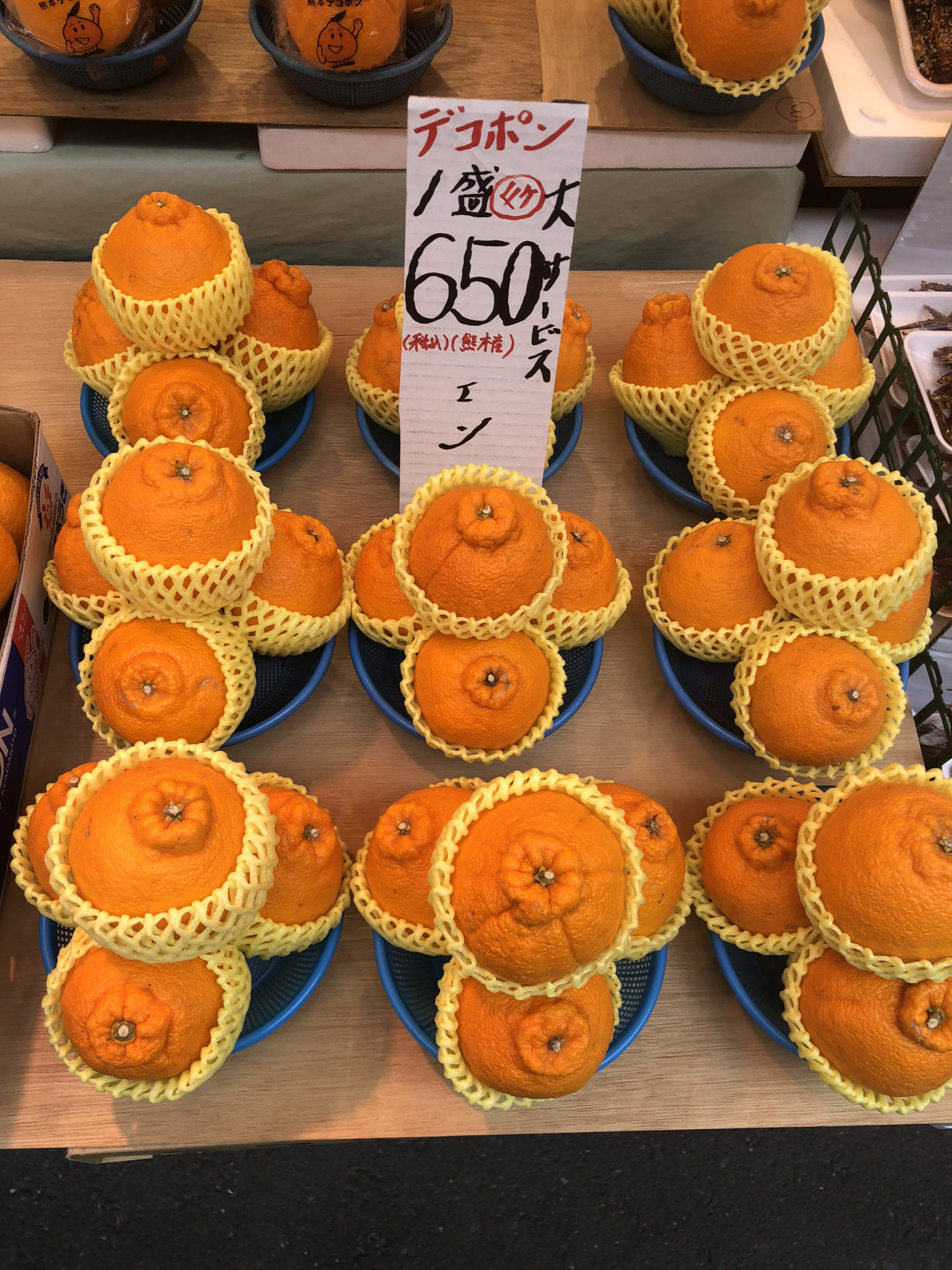 Sara Swart – some photos and links. quelques photos et liens.