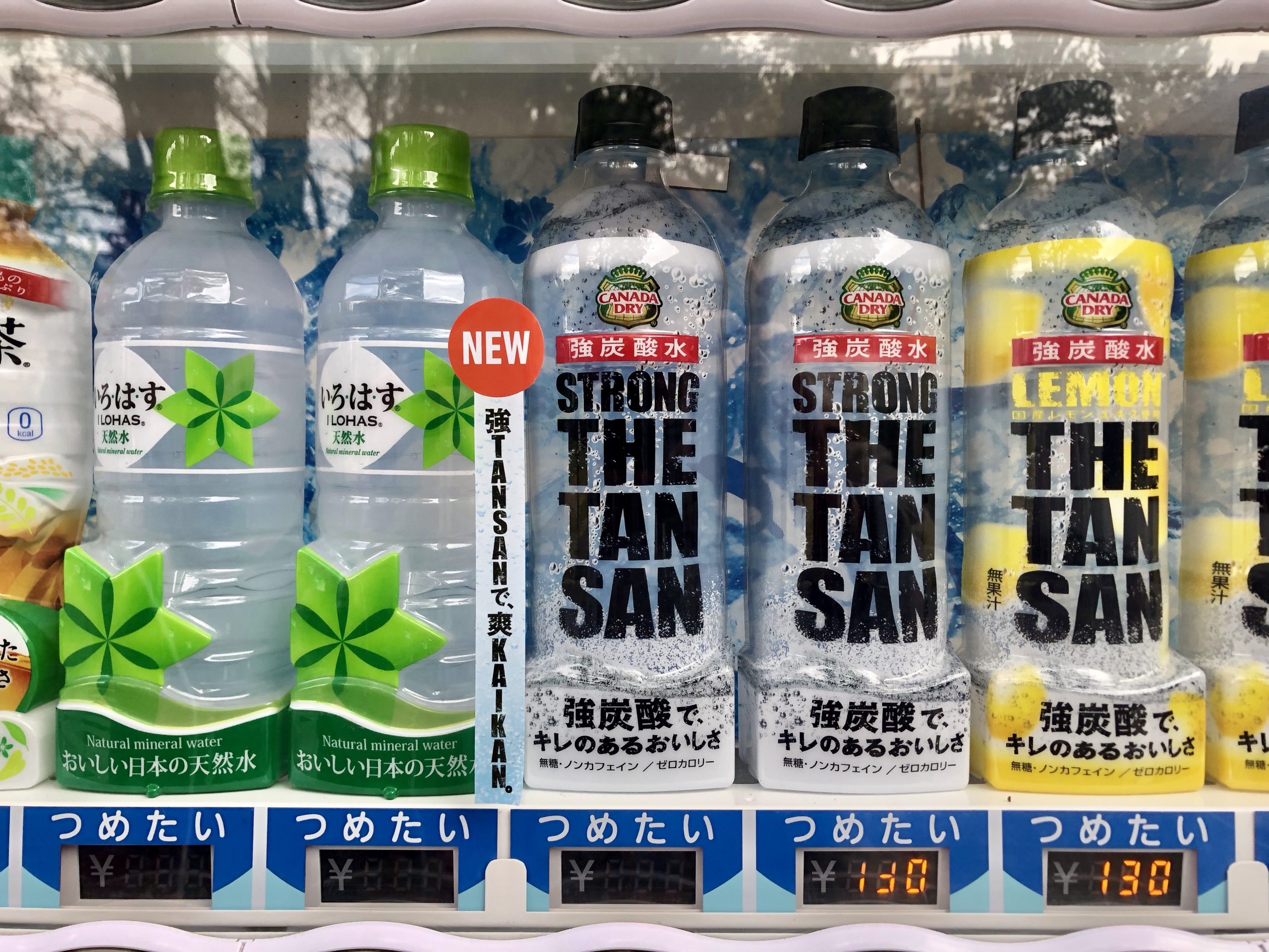 Sara Swart – some photos and links. quelques photos et liens.