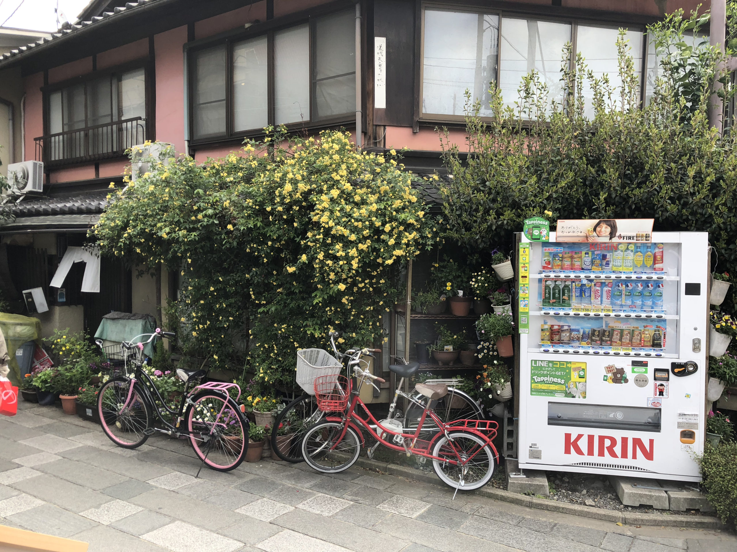 Sara Swart – some photos and links. quelques photos et liens.